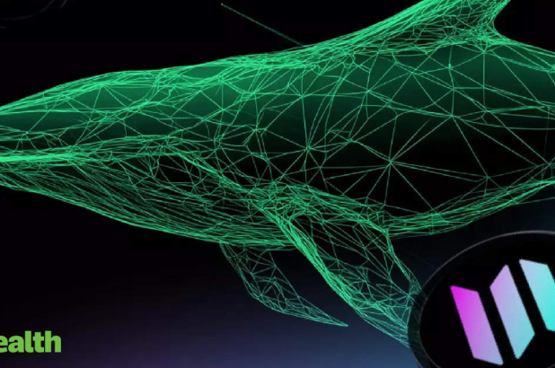 Lunex Network is emerging as a strong contender in the crypto sphere with its DeFi solutions ...